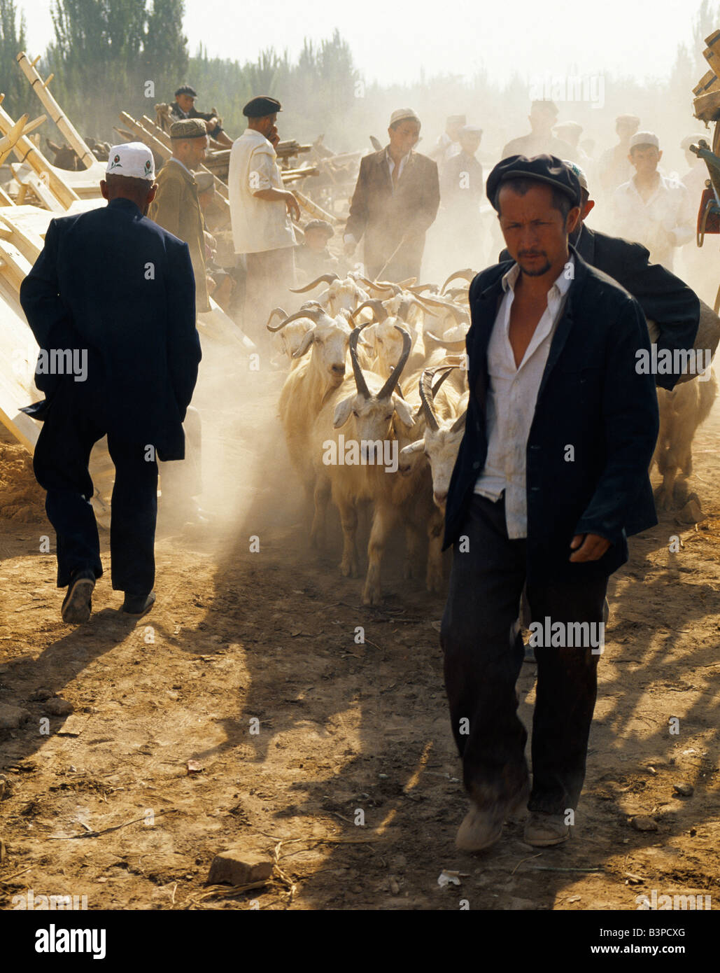 China, Xinjiang Uigur Autonomous Region, Kashgar. An Uigur man leads ...