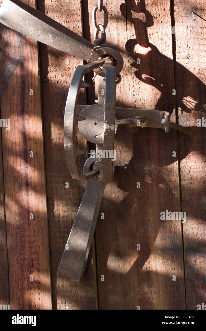 Snare trap High Resolution Stock Photography and Images - Alamy