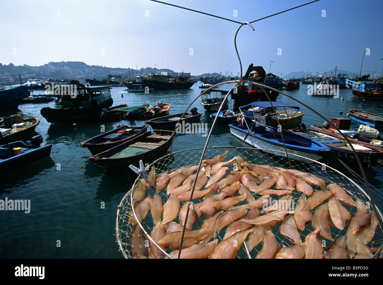 China, Hong Kong, Cheung Chau. Fish is hung out to dry over the harbour ...