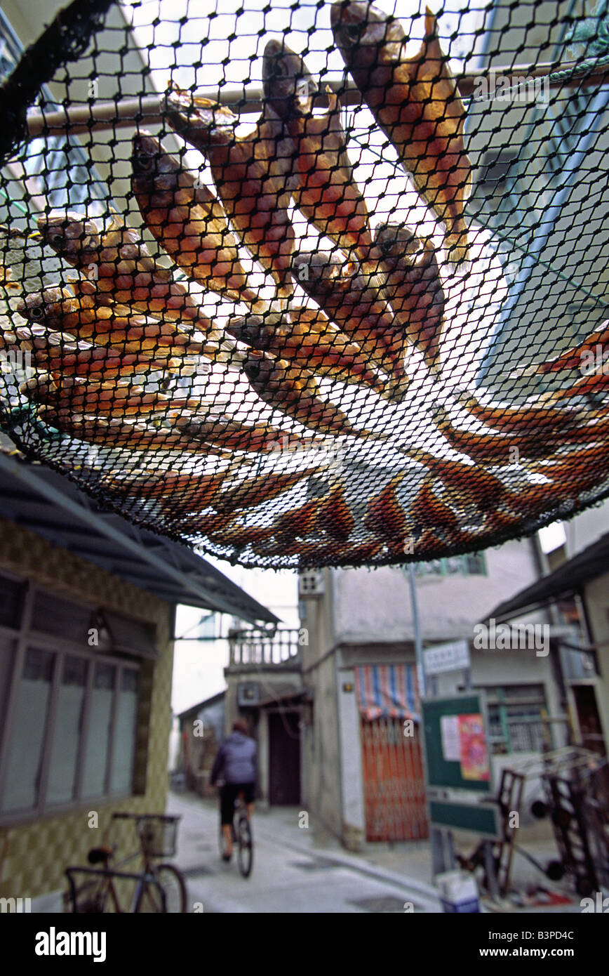 China, Hong Kong, Lantau Island. Fish are laid out to dry above the ...