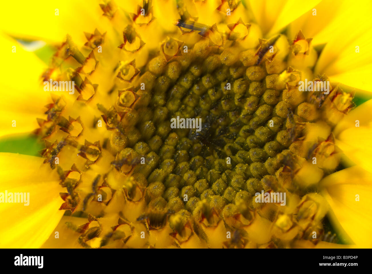 Fuzzy color hi-res stock photography and images - Alamy