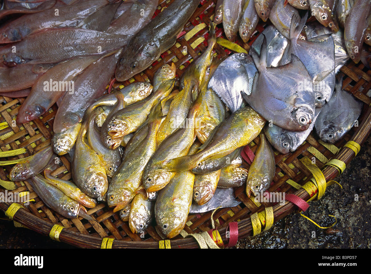 China, Hong Kong, Lantau Island. Fresh fish for sale in the Tanka ...