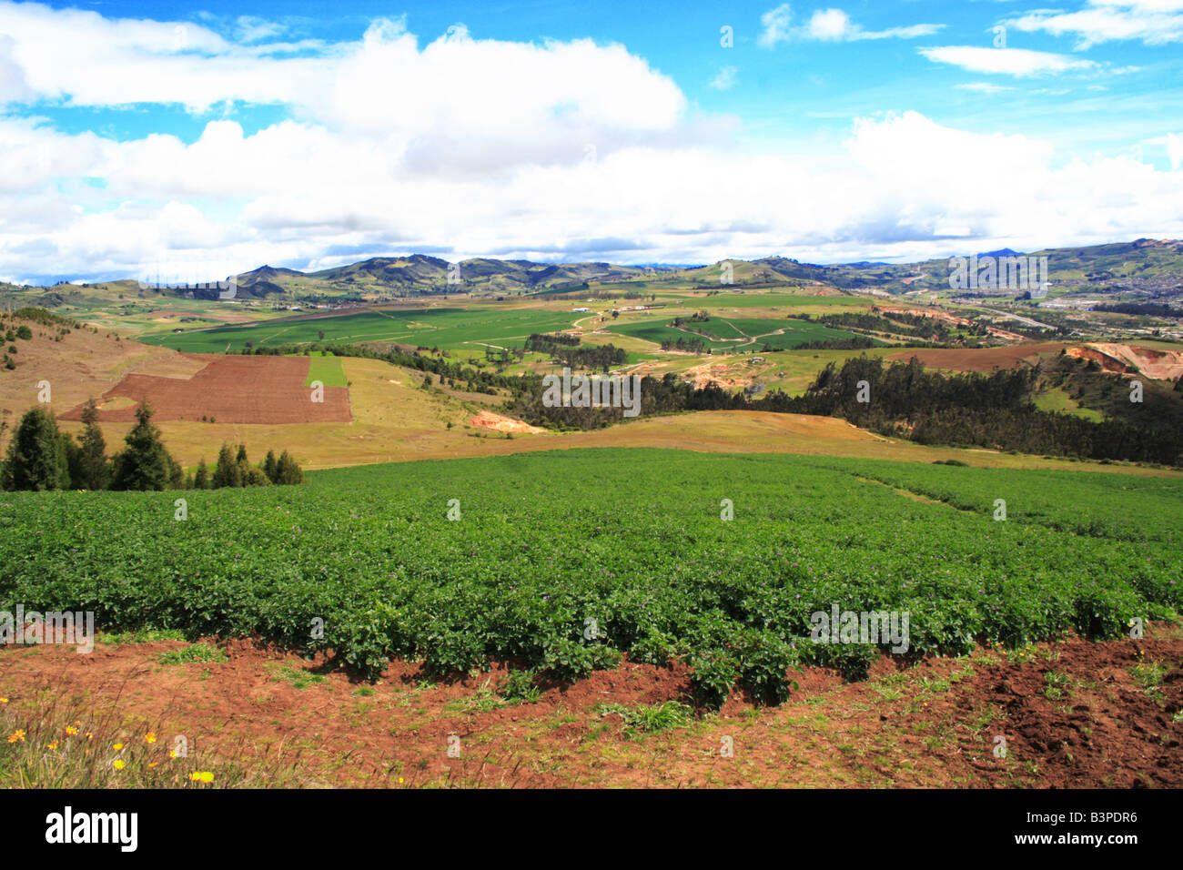 Landscape, Pisba, Boyacá, Colombia, South America Stock Photo - Alamy