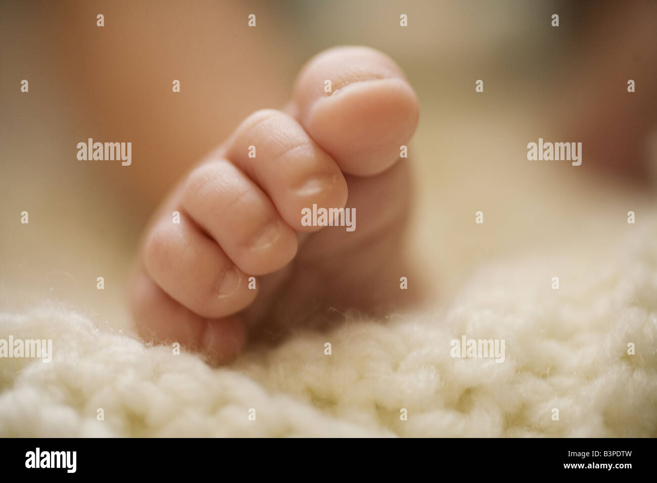 Bottom of foot anatomy hi-res stock photography and images - Alamy