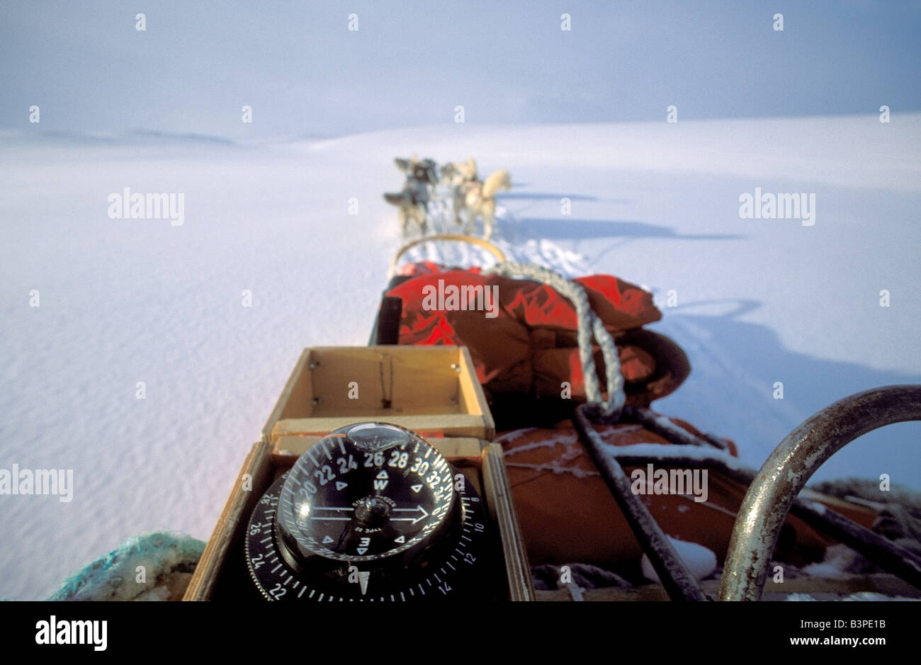 huskies - pulling sledge with compass Stock Photo - Alamy