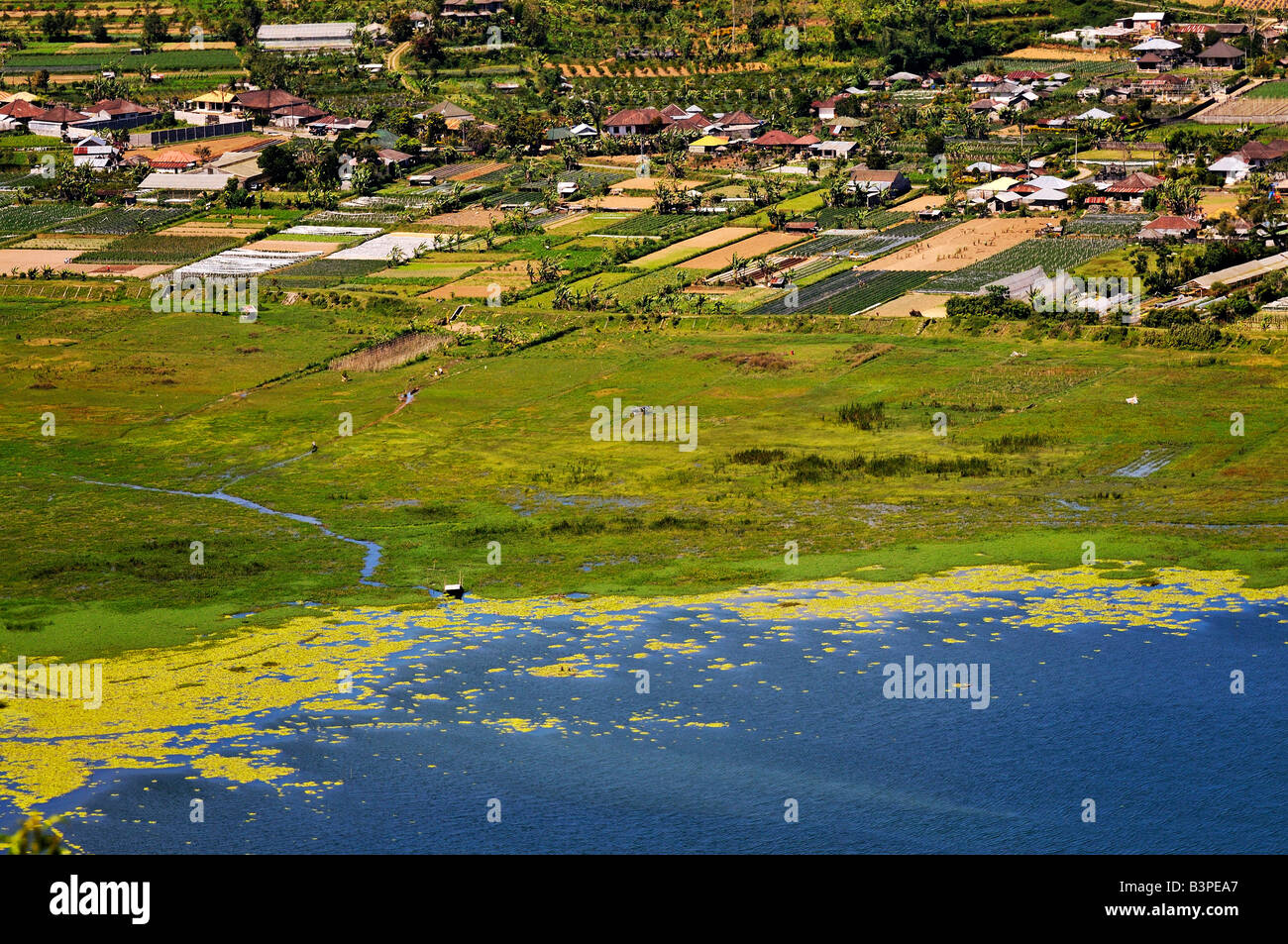 Vegetable and spice fields near Lake Buyan, Bali, Indonesia Stock Photo ...