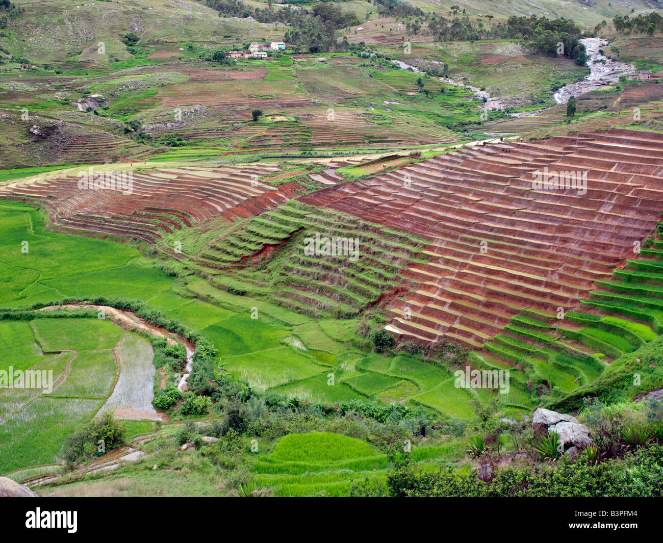 Rice terraces madagascar hi-res stock photography and images - Alamy