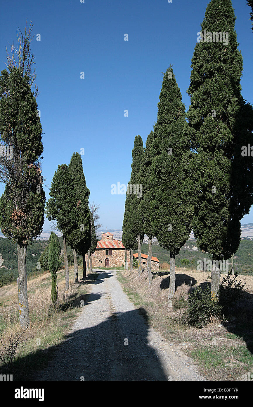 Farm with tree-lined road to Contignano, Radicofani, Monte Amiata ...