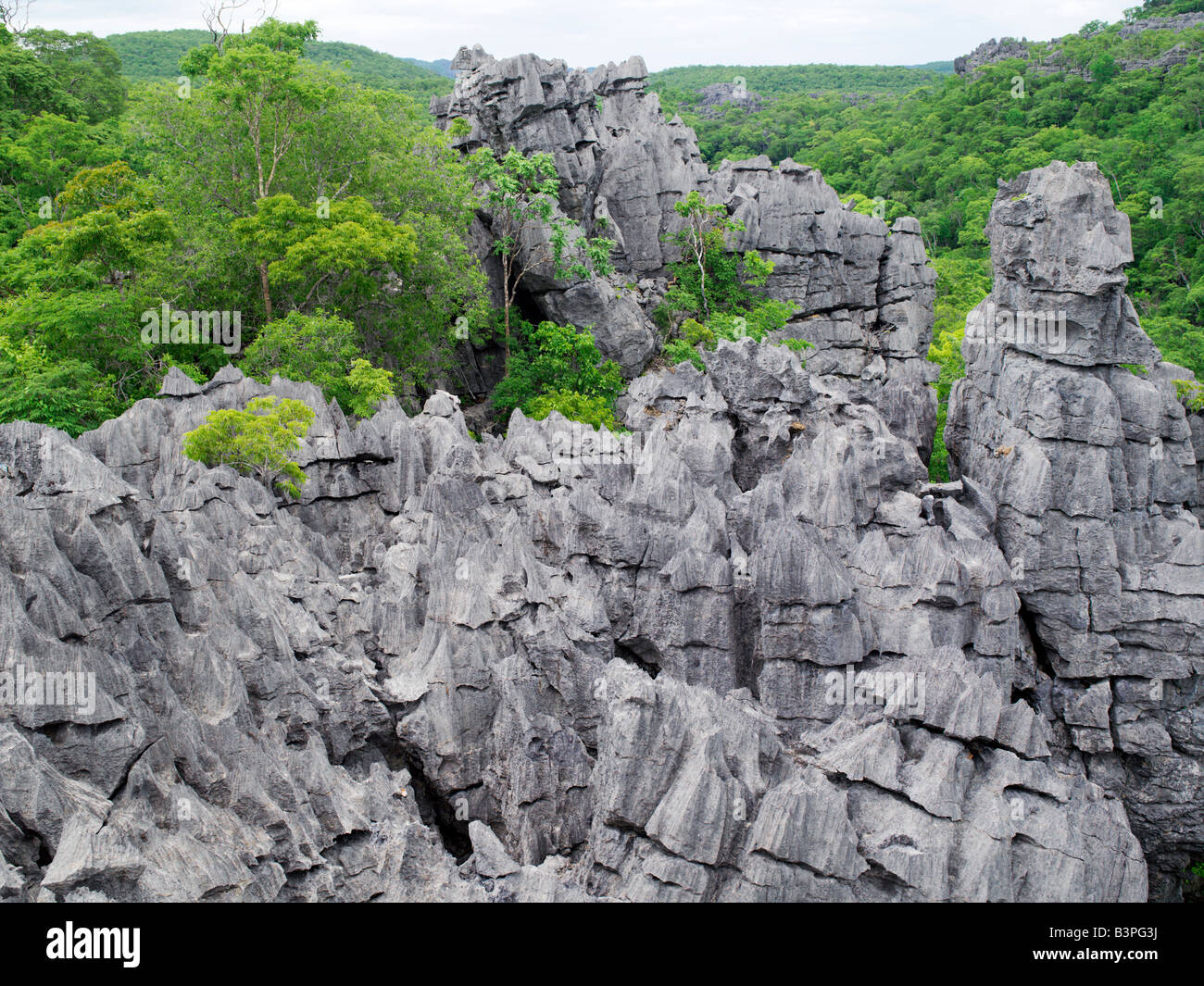 Northern Madagascar, Karst limestone, known in Madagascar as tsingy, is ...