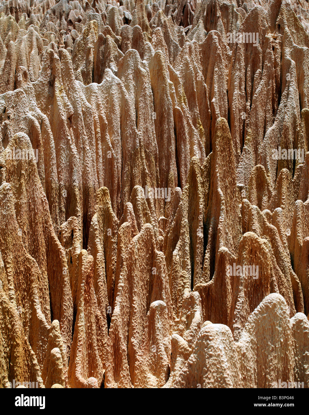 Northern Madagascar, Karst sandstone, known in Madagascar as tsingy, is ...