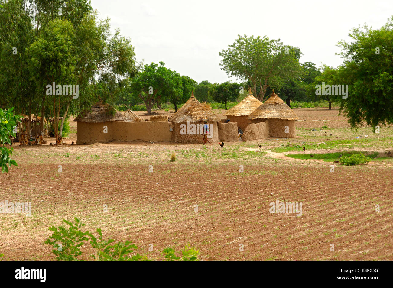 Typical African homestead with round huts, Burkina Faso, West Africa ...