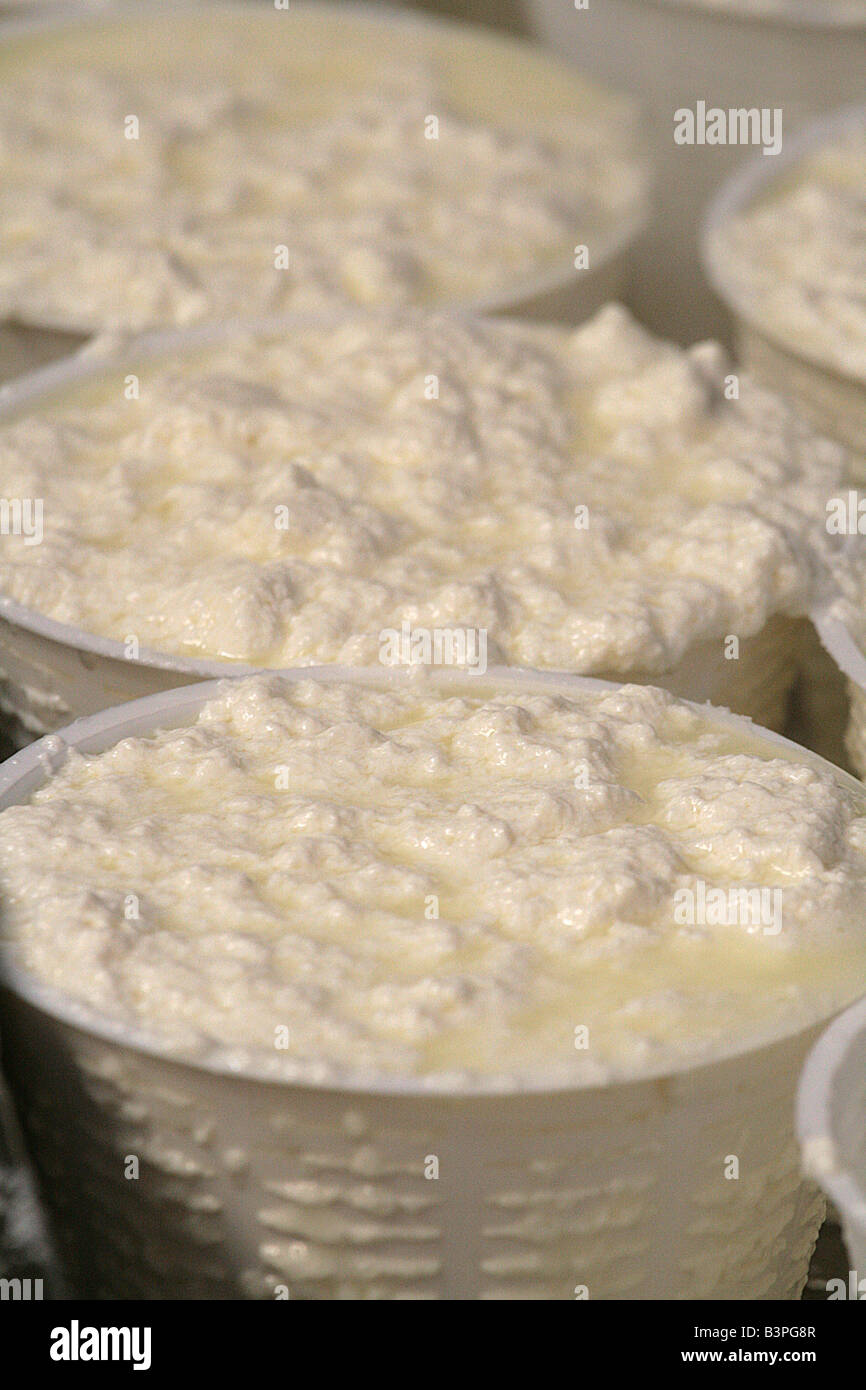 Ricotta cheese preparation, Il Fiorino cheese maker, Roccalbegna, Monte ...