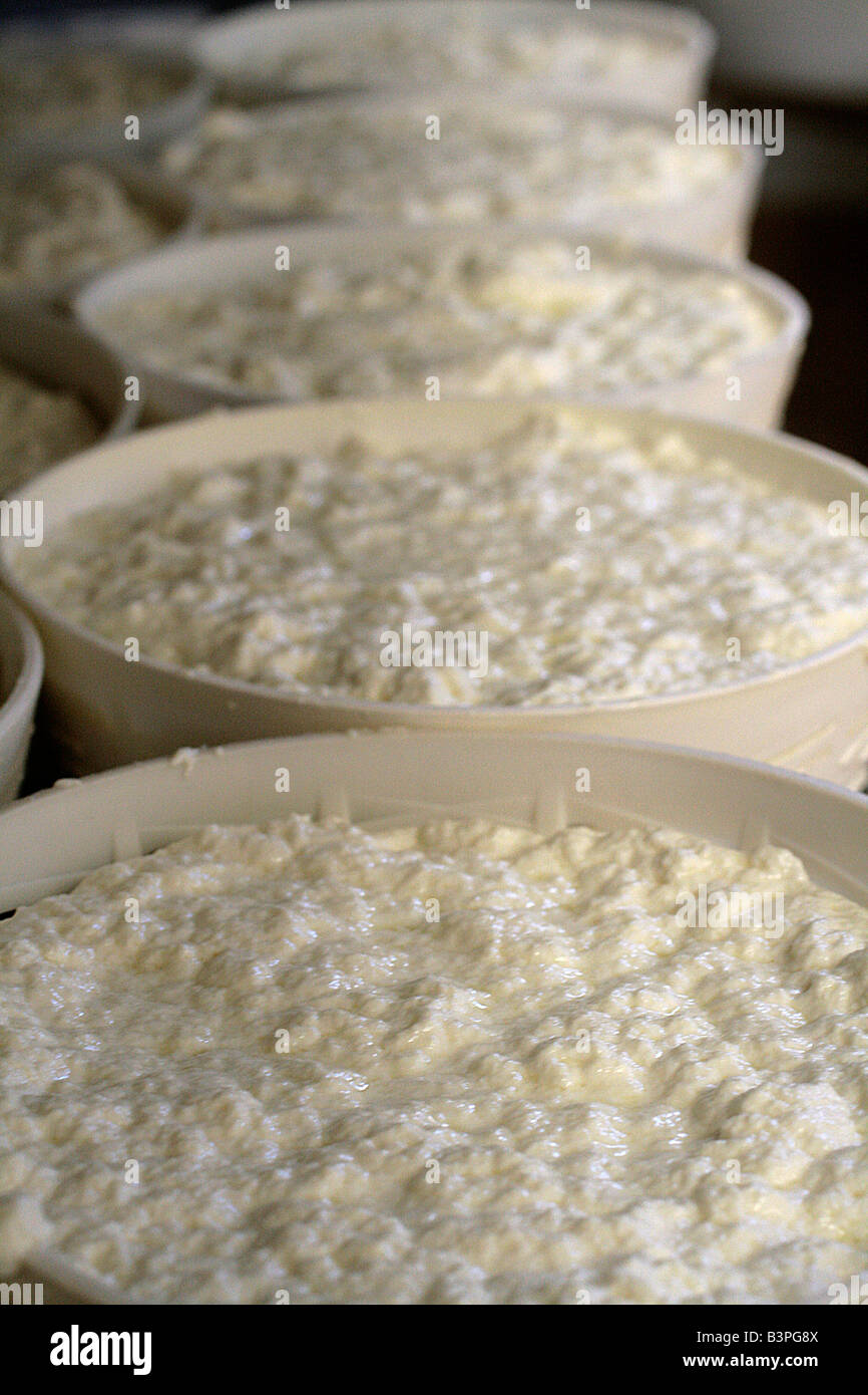 Ricotta cheese preparation, Il Fiorino cheese maker, Roccalbegna, Monte ...