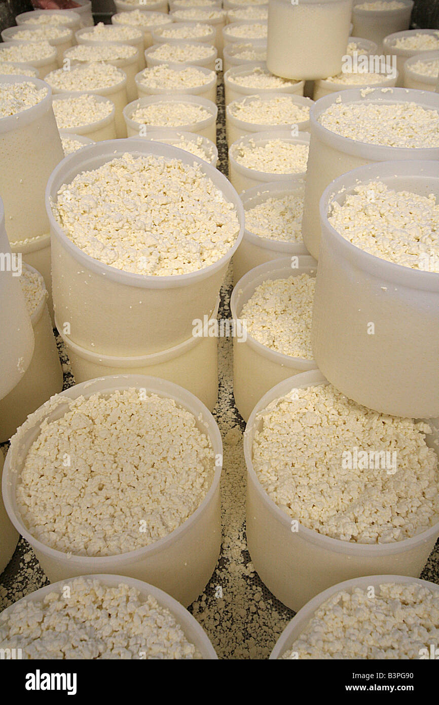 Il fiorino cheese hi-res stock photography and images - Alamy