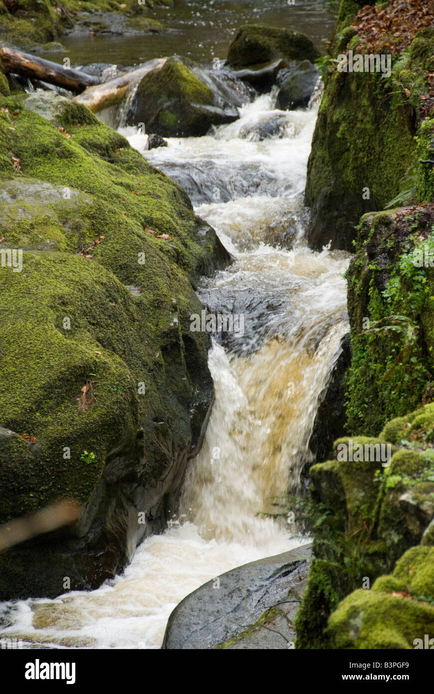 Irish river in Spring Stock Photo - Alamy