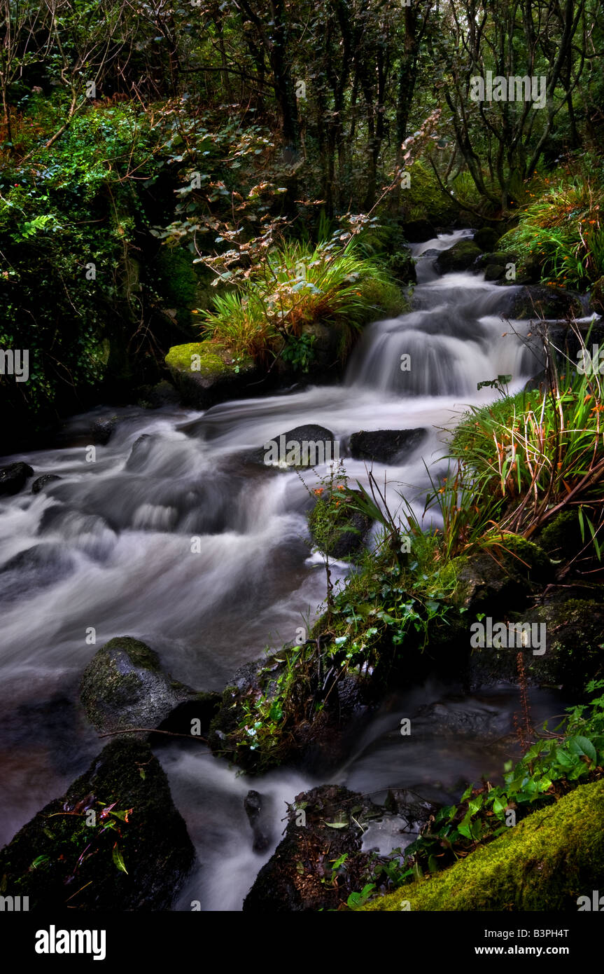A fast flowing stream running through Lamorna Valley in Cornwall Stock ...