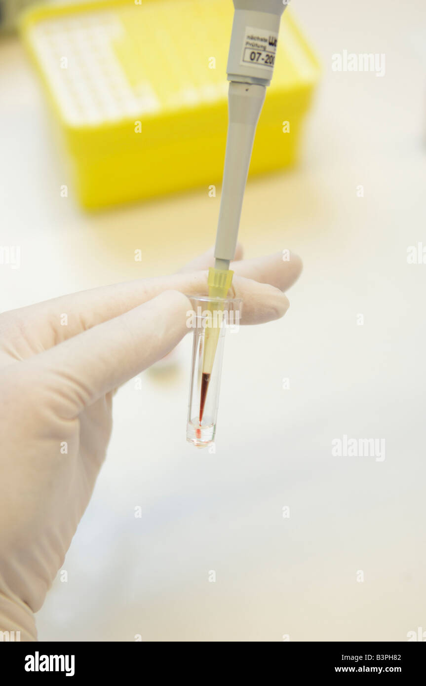 Hand in a sterile glove pipetting with a pipettor in a laboratory Stock ...