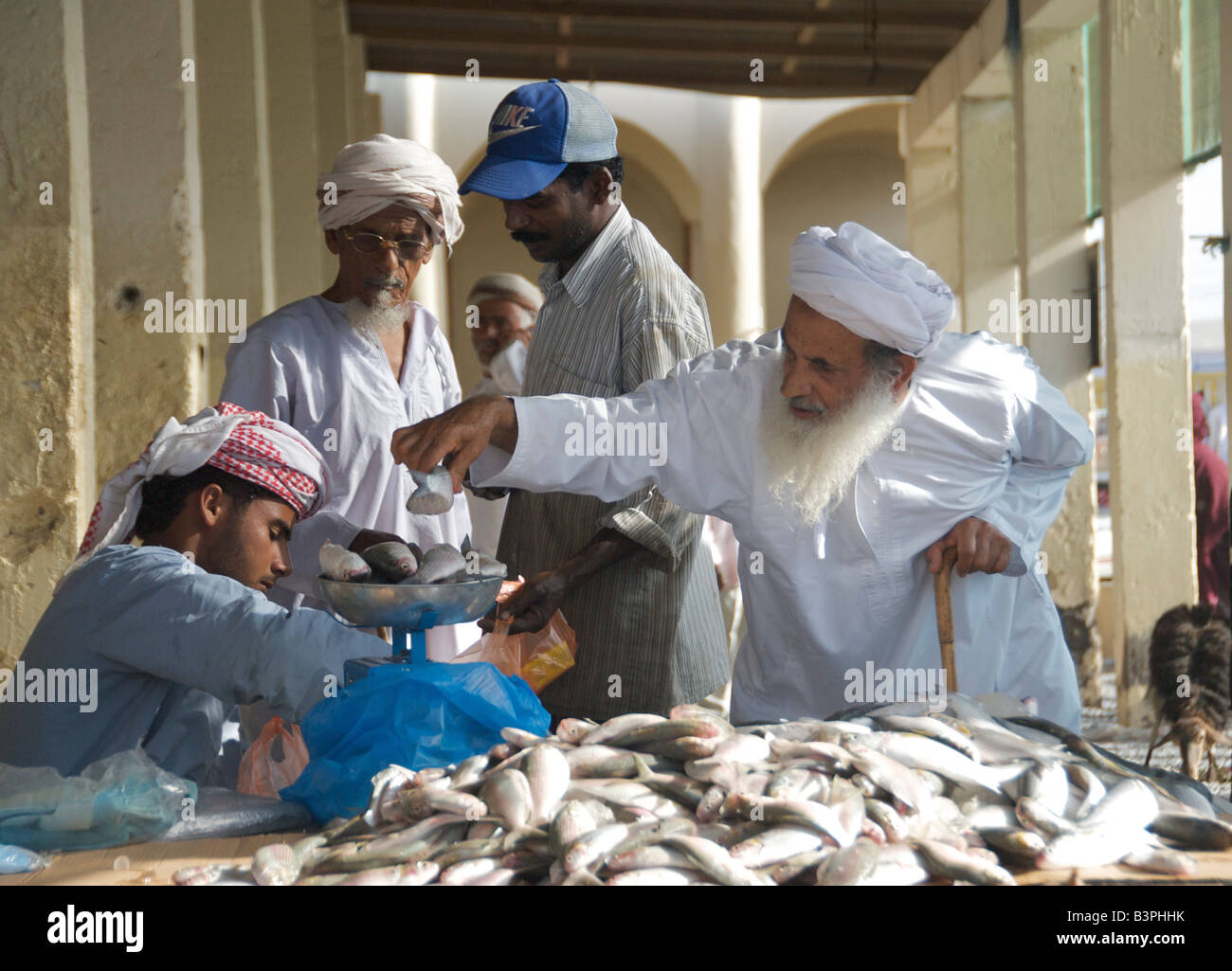 Old man buying fish in souq Sinaw Sharqiya Region Sultanate of Oman ...