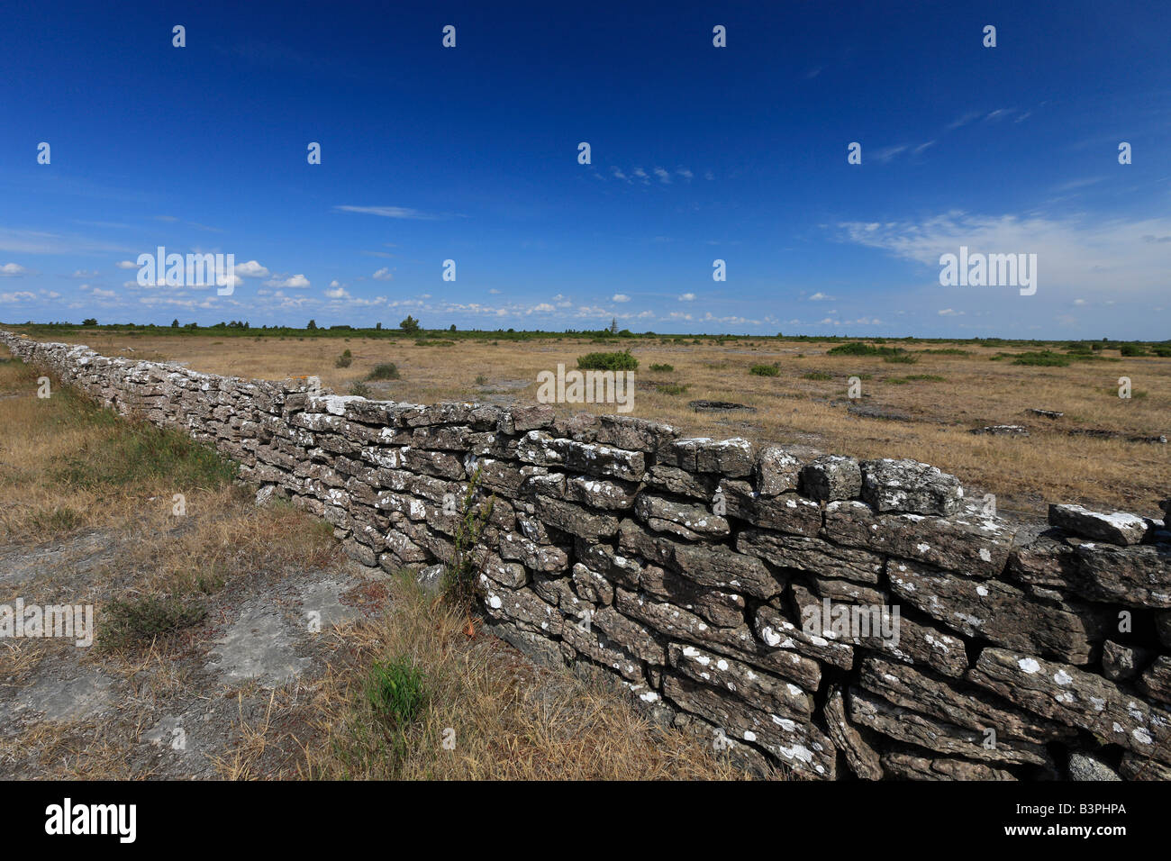 Dry-stone wall in the limestone barren Stora Alvaret, Oeland, Kalmar ...
