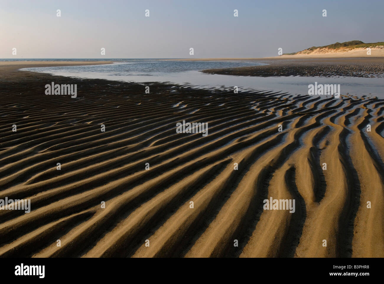 Evening mood at a beach with a tidal gully and ripples in the sand ...
