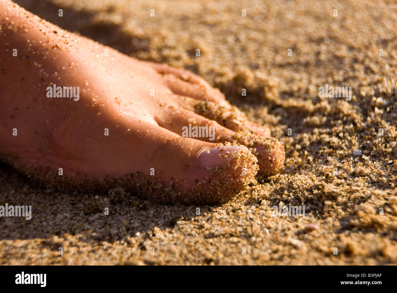 Sandy Toes