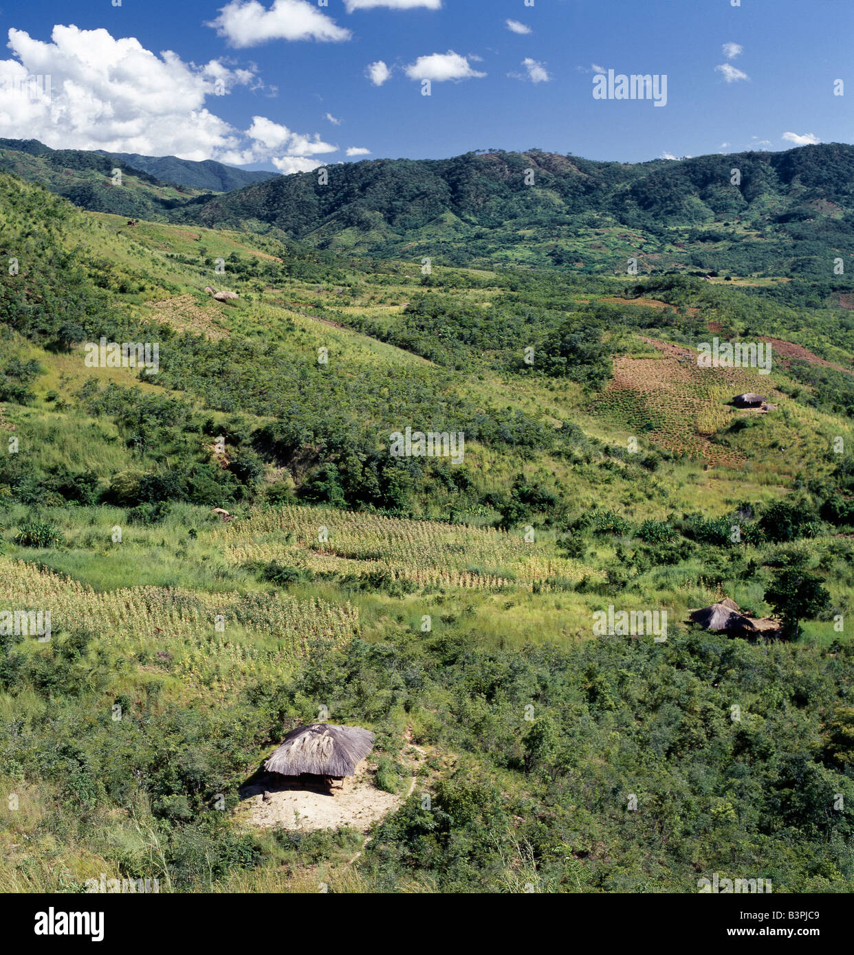 Malawi, Karonga, Northern Malawi. Fertile farming country on the slopes ...