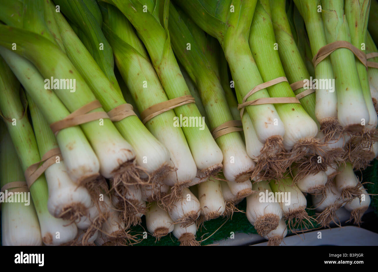 Bunches of organic leeks on sale at the Soil Association Organic Food ...