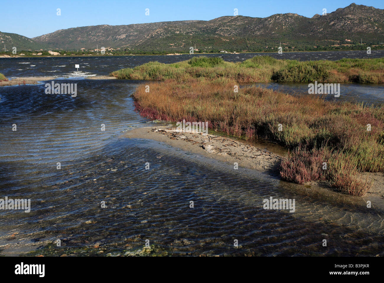 Stagno di San Teodoro moist area, Sardinia, Italy Stock Photo - Alamy
