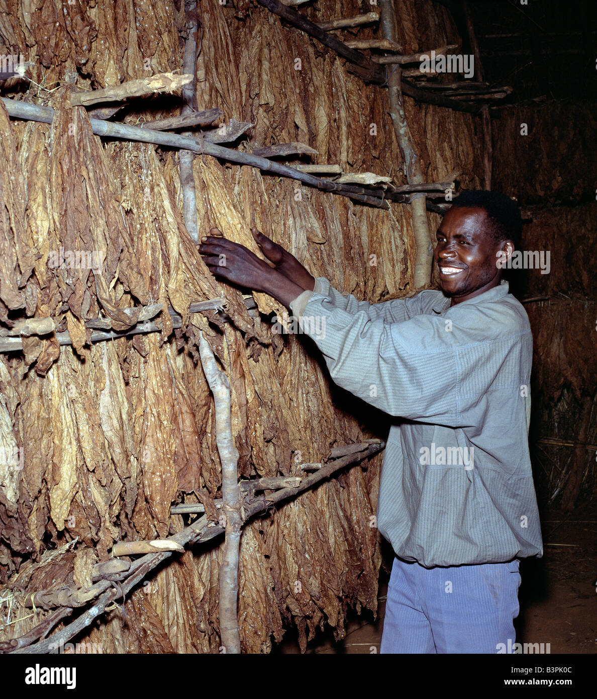 Malomo hi-res stock photography and images - Alamy