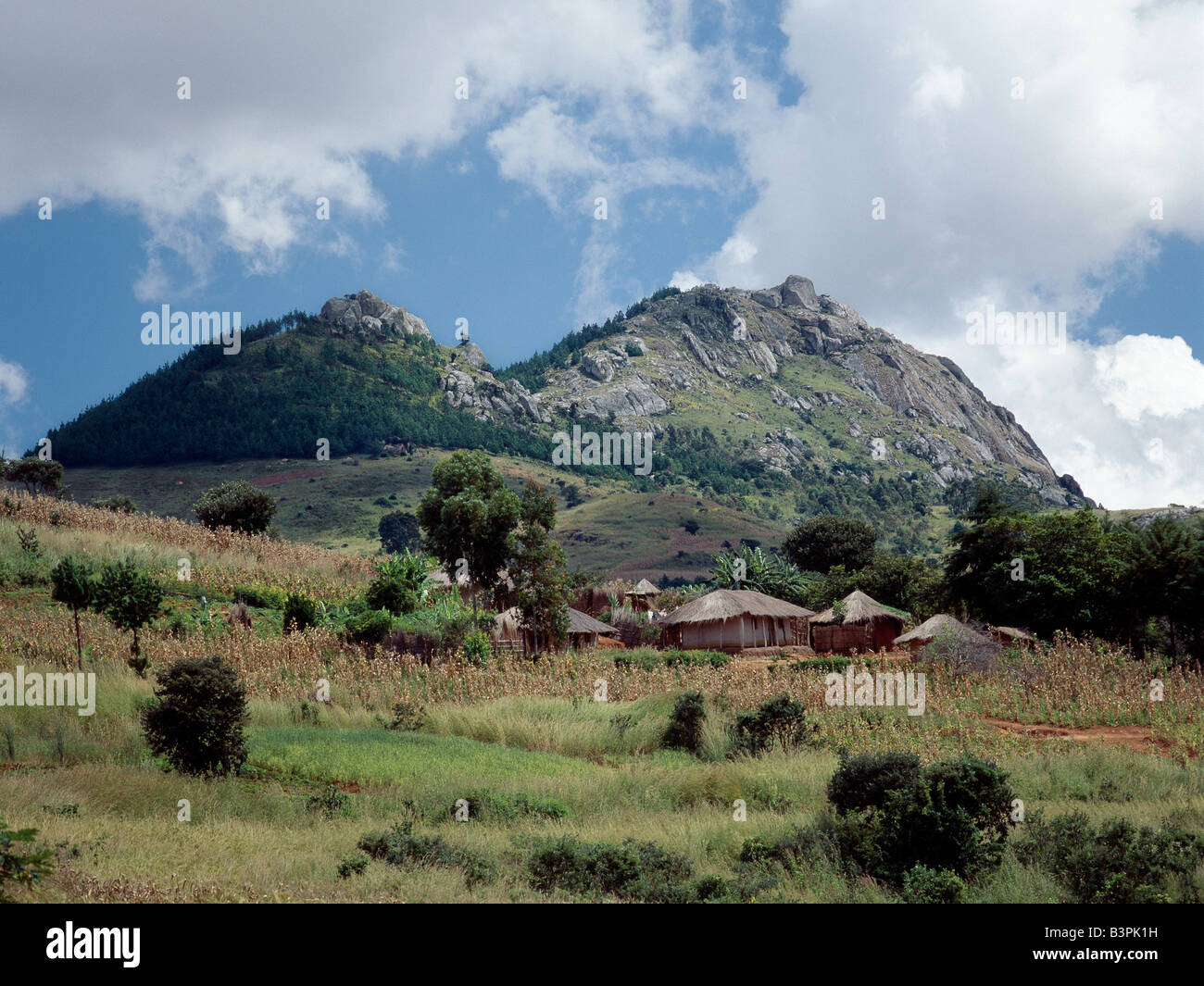 Maize farming malawi hi-res stock photography and images - Alamy