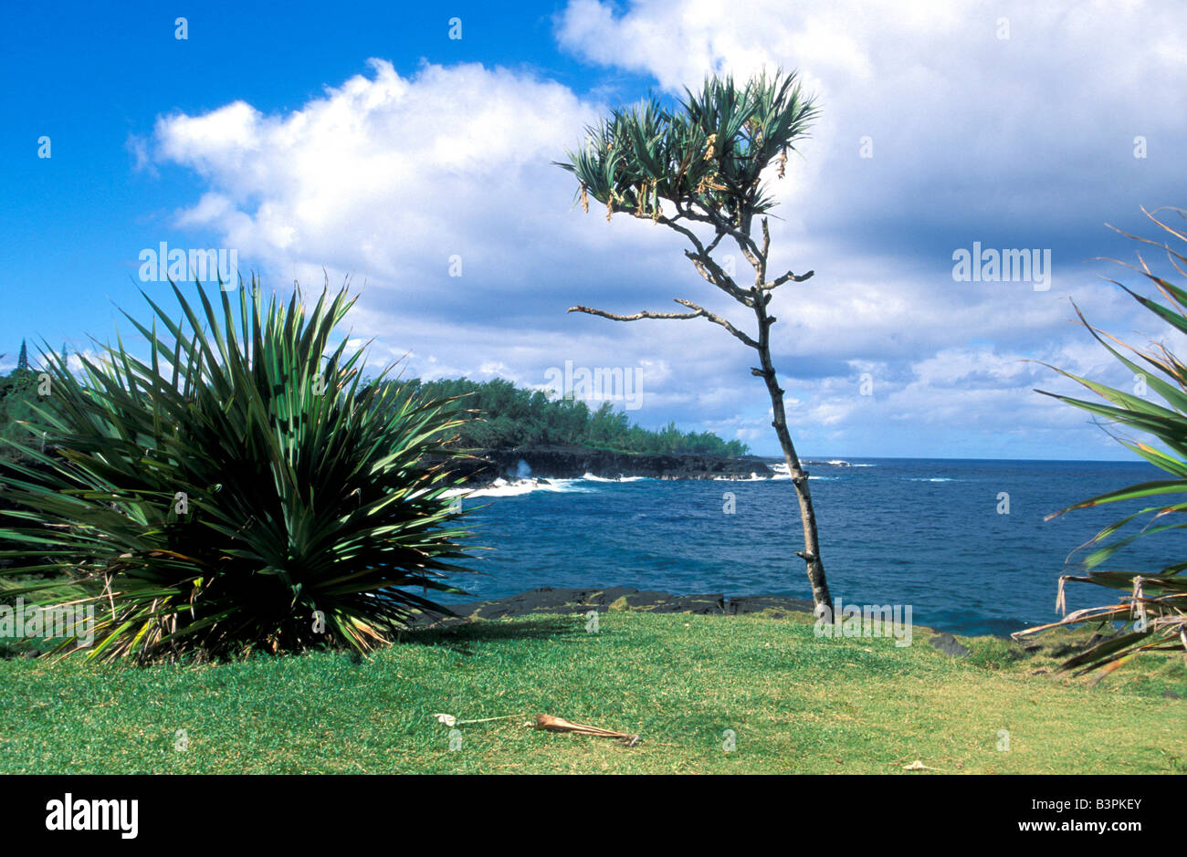 Utilis hi-res stock photography and images - Alamy