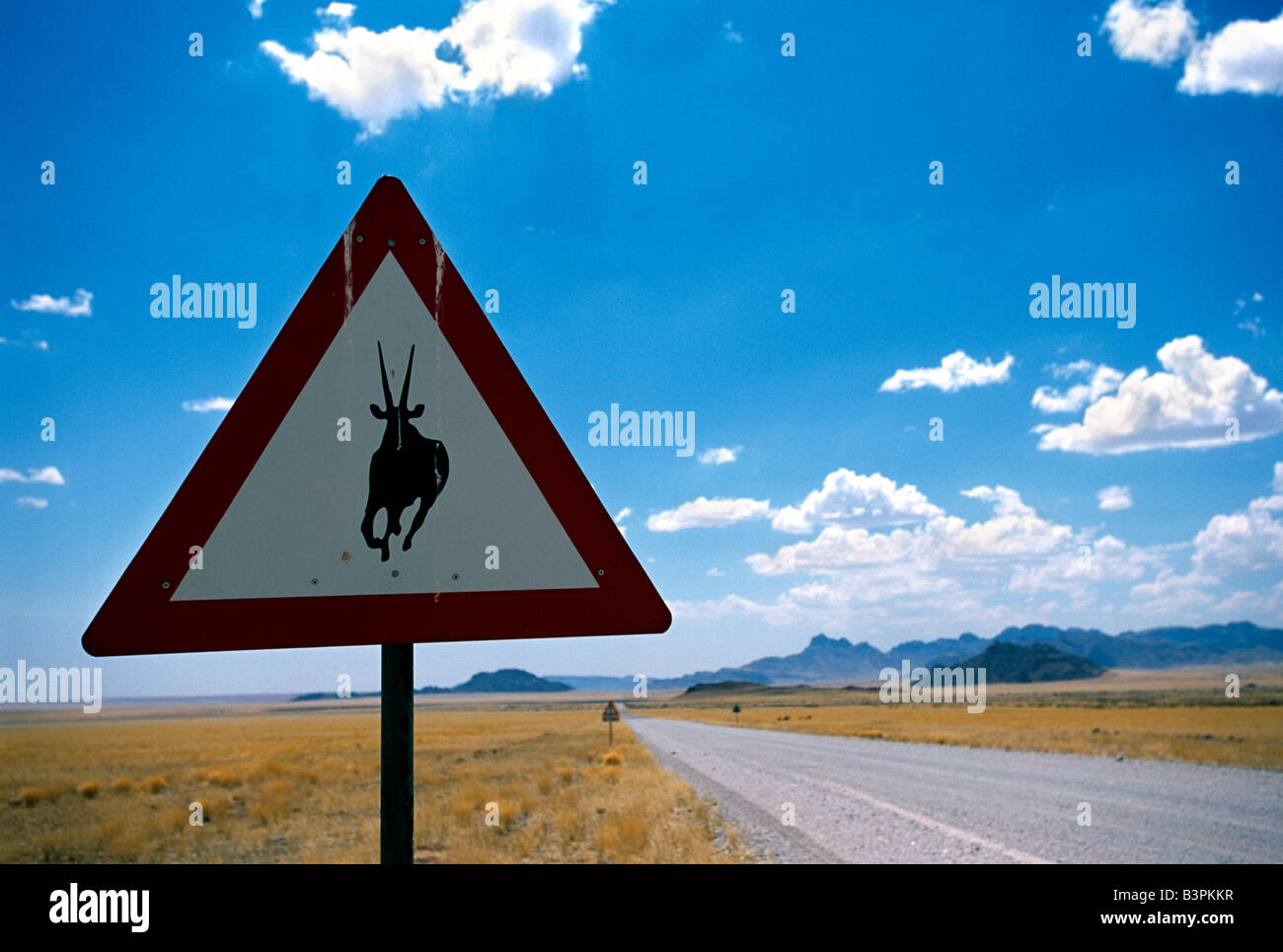 Caution springbok hi-res stock photography and images - Alamy