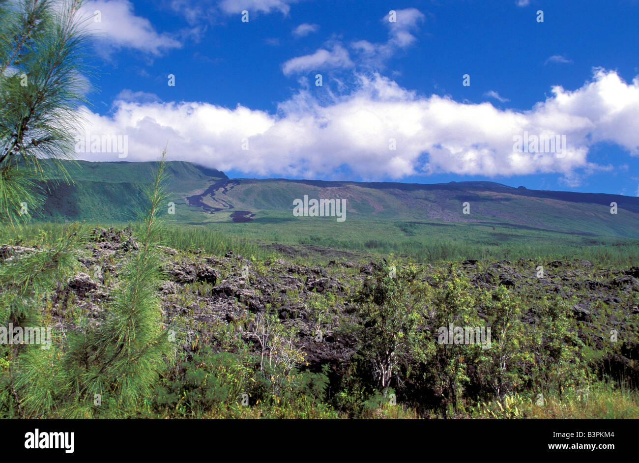 East mountainside, Piton de la Fournaise shield volcano, Reunion island ...