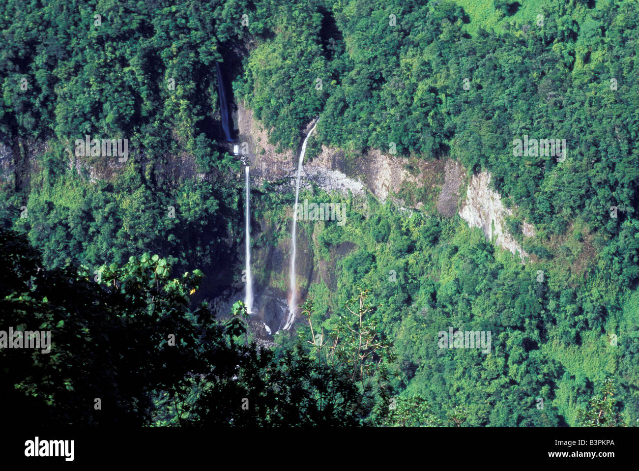Waterfalls throw the forest, Takamaka Valley, Reunion island, Indian ...