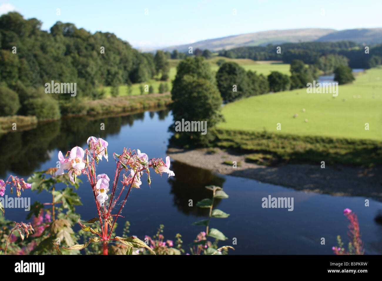 Ruskin's View. A view of the River Lune at Kirkby Lonsdale painted by ...