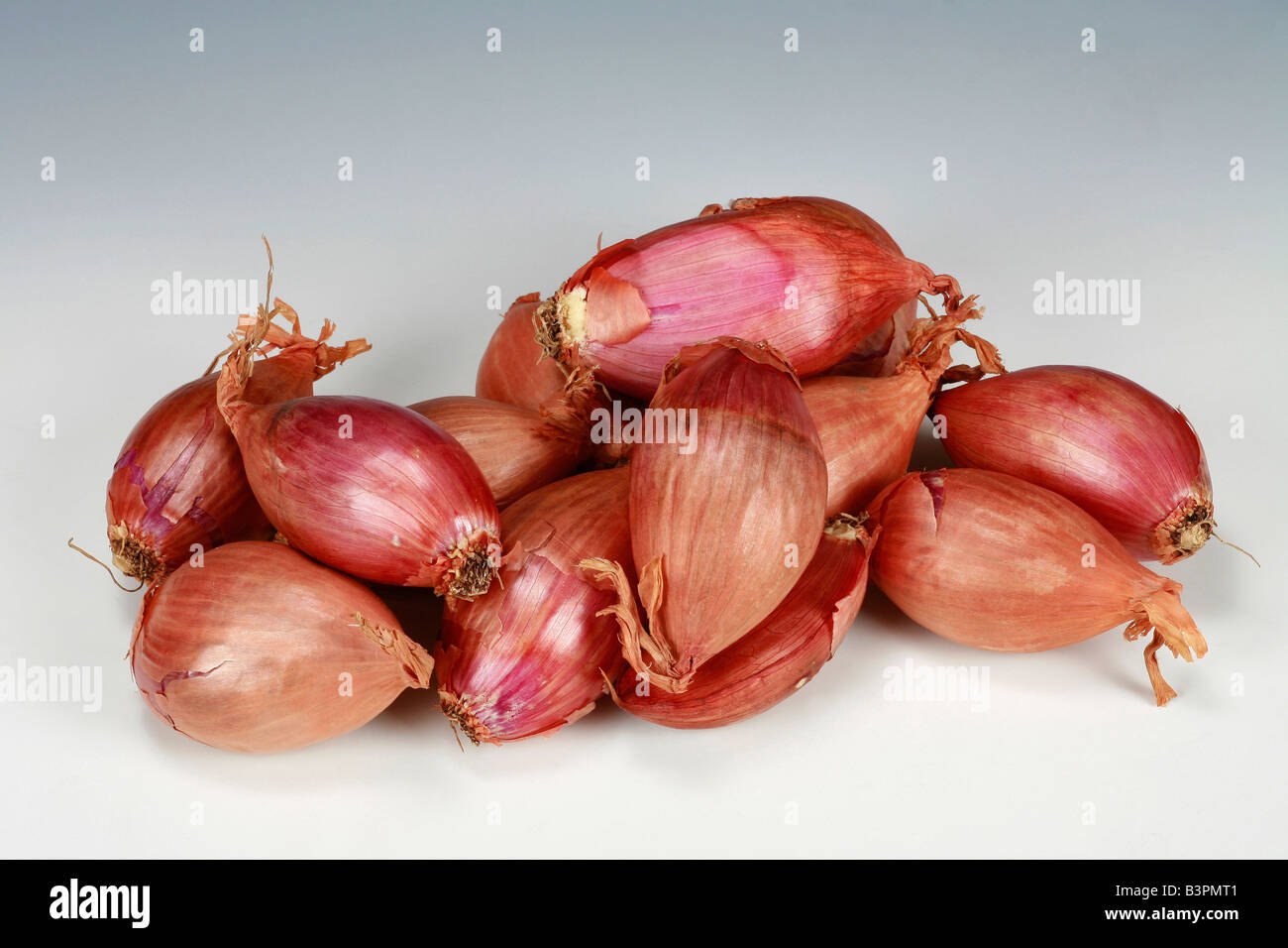 Allium Ascalonicum Stock Photos & Allium Ascalonicum Stock Images - Alamy