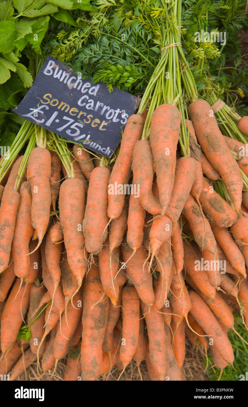 Muddy carrot hi-res stock photography and images - Alamy