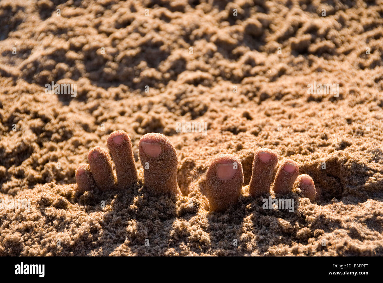 Model Released female toes poking up out of a pile of sand on the beach ...