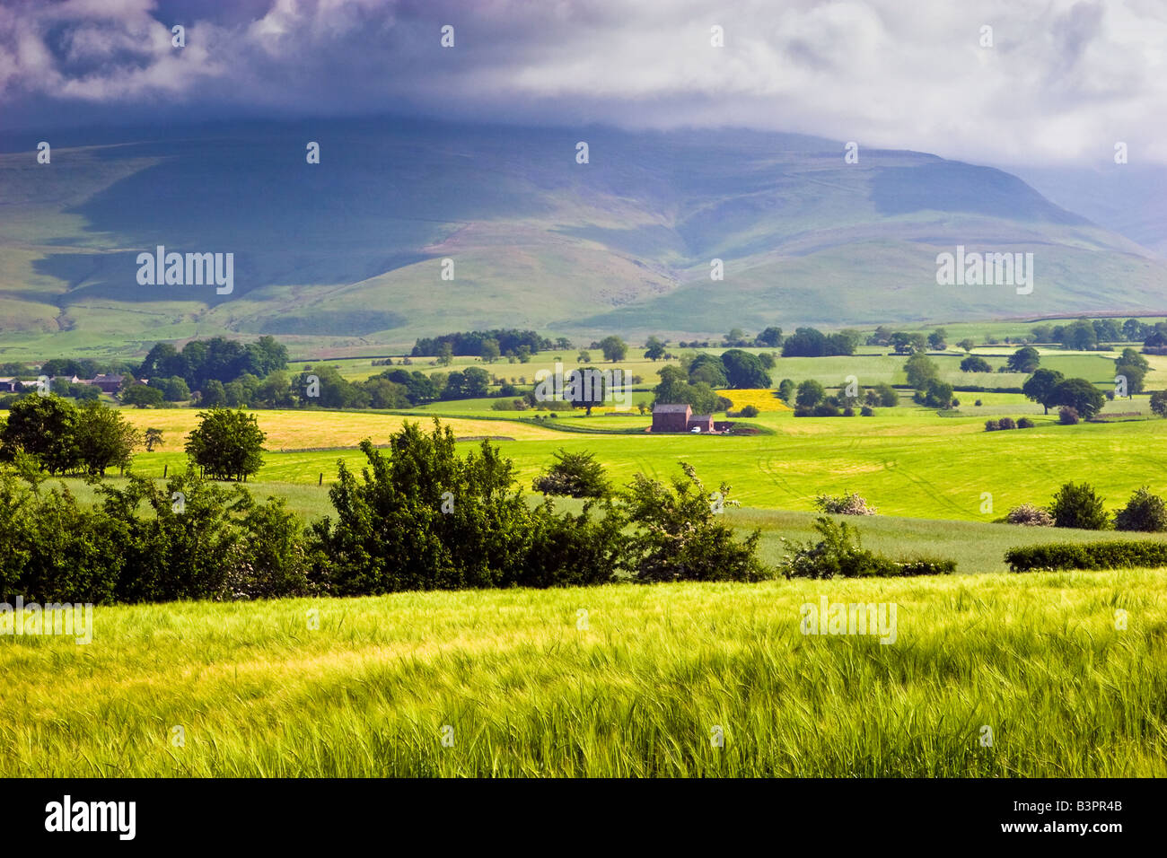 Tranquil countryside scene farming hi-res stock photography and images ...