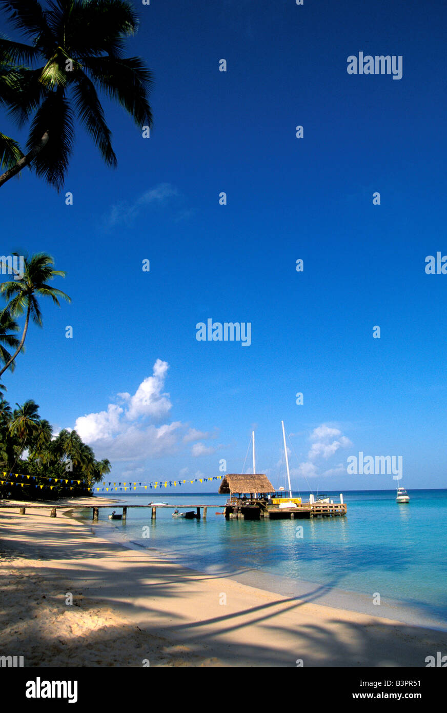 Tobago Pigeon Point heritage park thatch-roofed jetty boat dock iconic ...