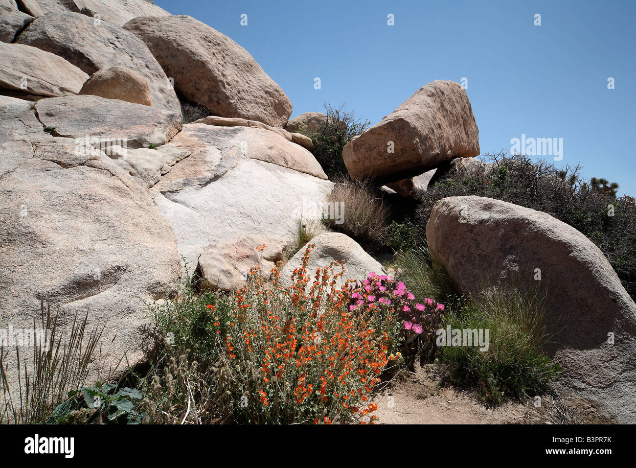 Stones joshua tree national park hi-res stock photography and images ...