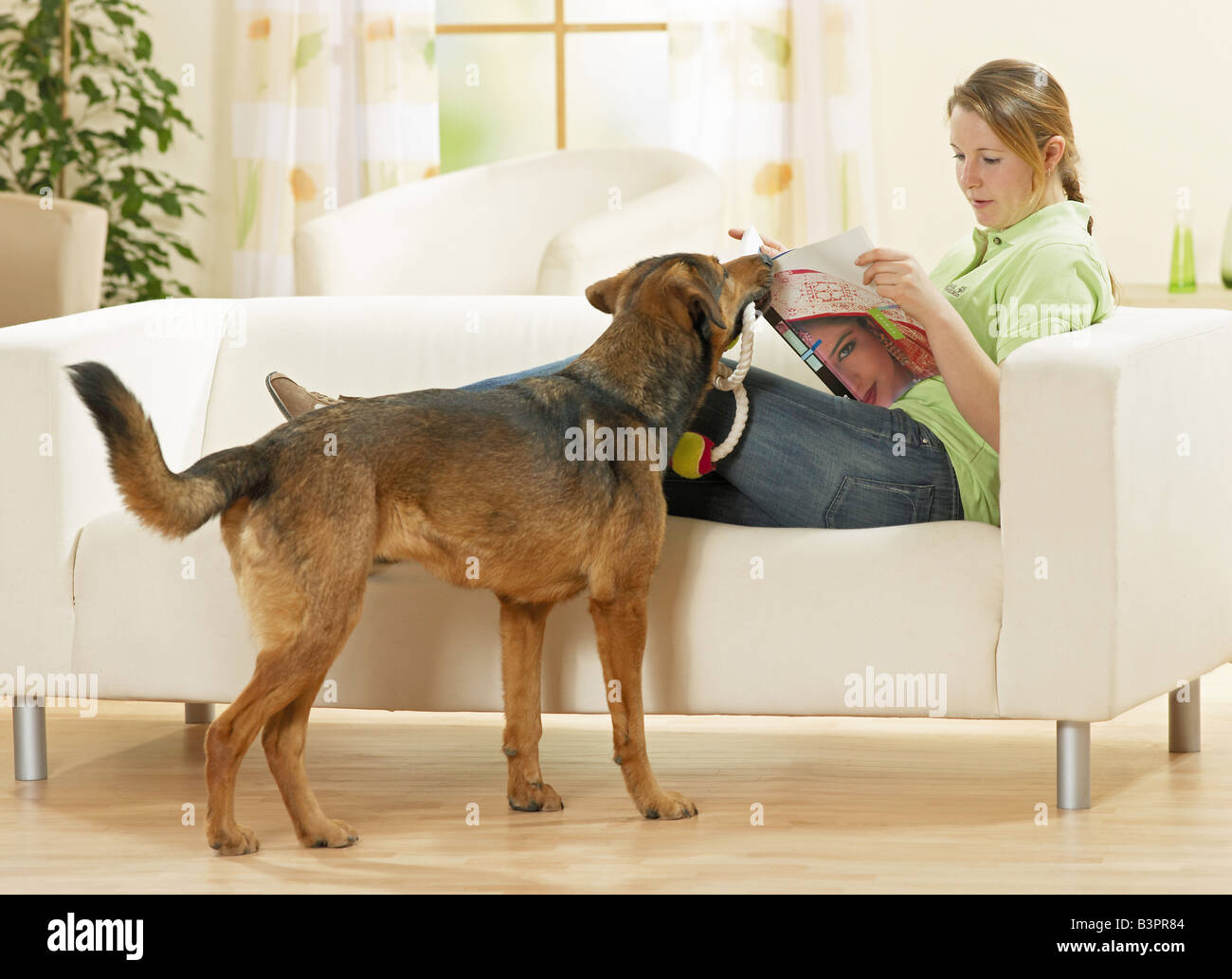 half breed dog with woman Stock Photo - Alamy