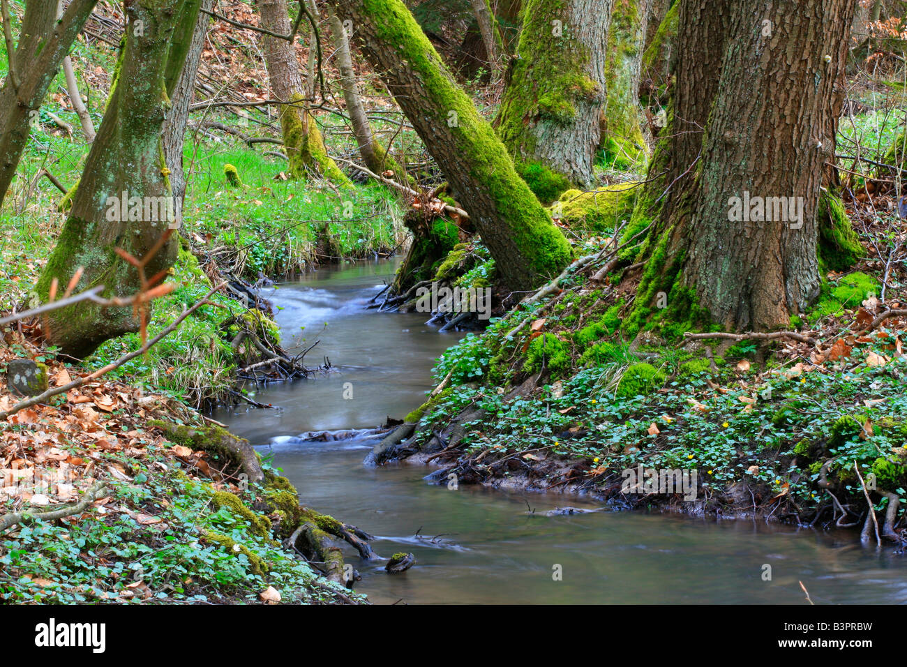 Spring flowing water photos hi-res stock photography and images - Alamy