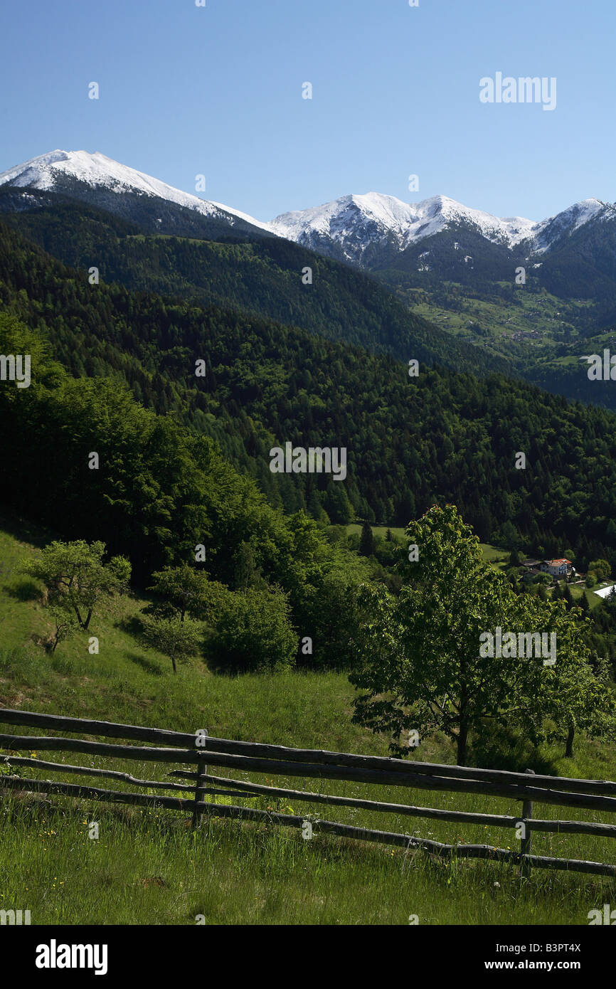 Spring landscape on Valle dei Mocheni and, On the background, Lagorai ...