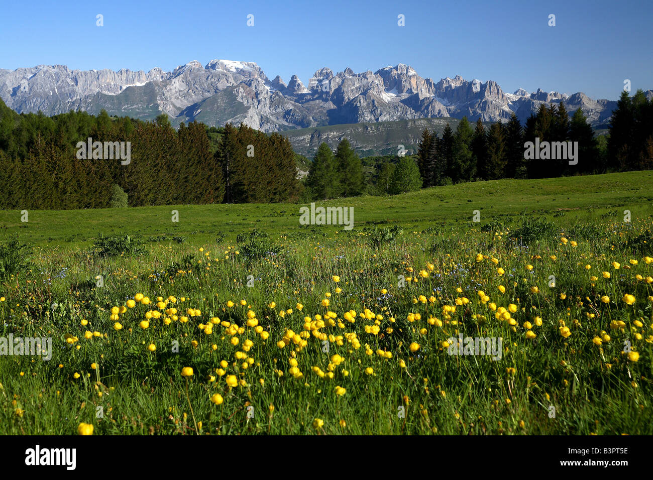 Landscape from Piana delle Viote, Monte Bondone on Dolomiti di Brenta ...