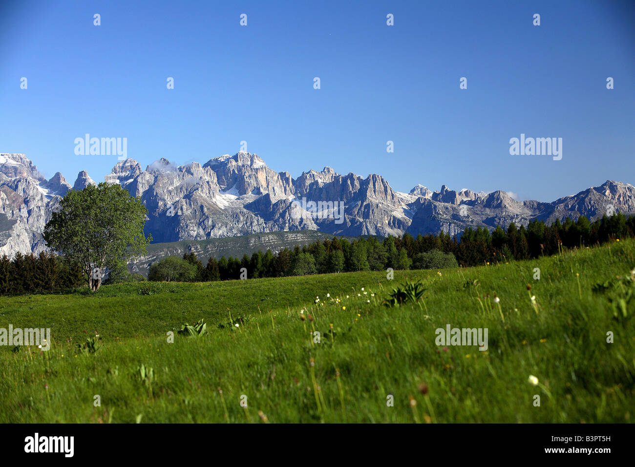 Landscape from Piana delle Viote, Monte Bondone on Dolomiti di Brenta ...
