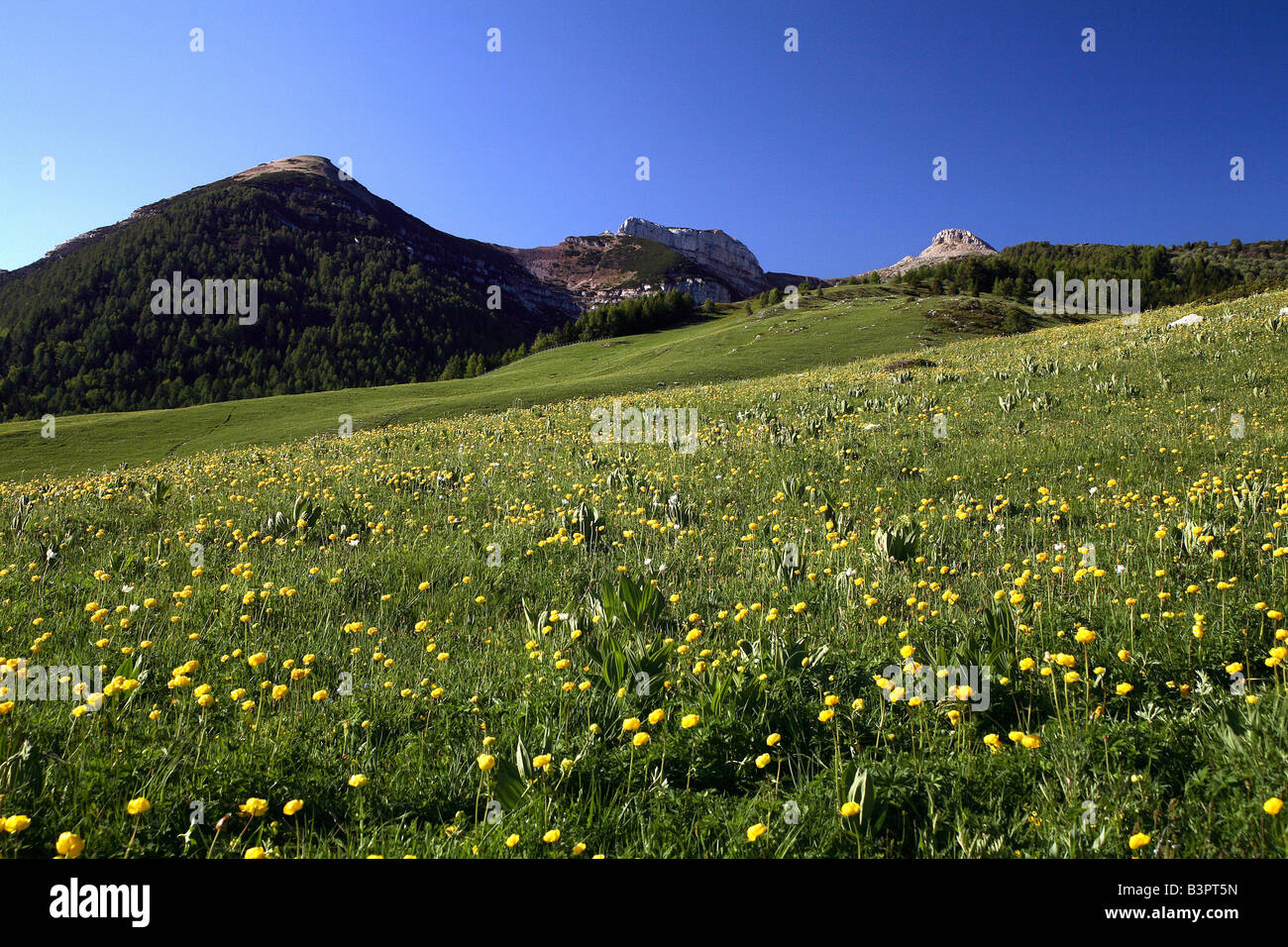 Landscape on Tre Cime del Bondone from Piana delle Viote, Monte Bondone ...