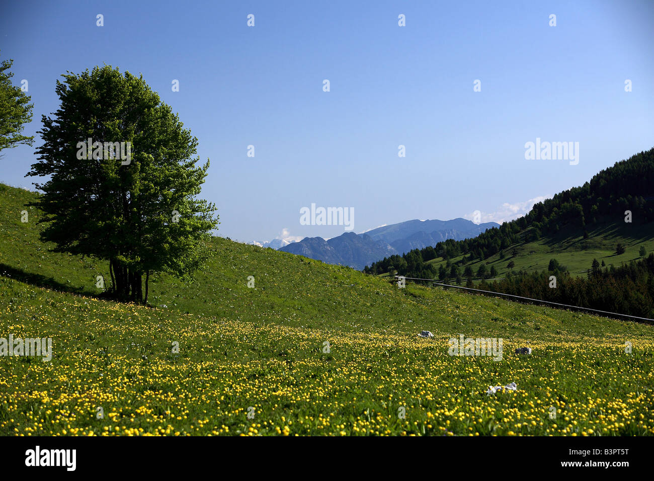 Landscape on Piana delle Viote, Monte Bondone, Trentino Alto Adige ...