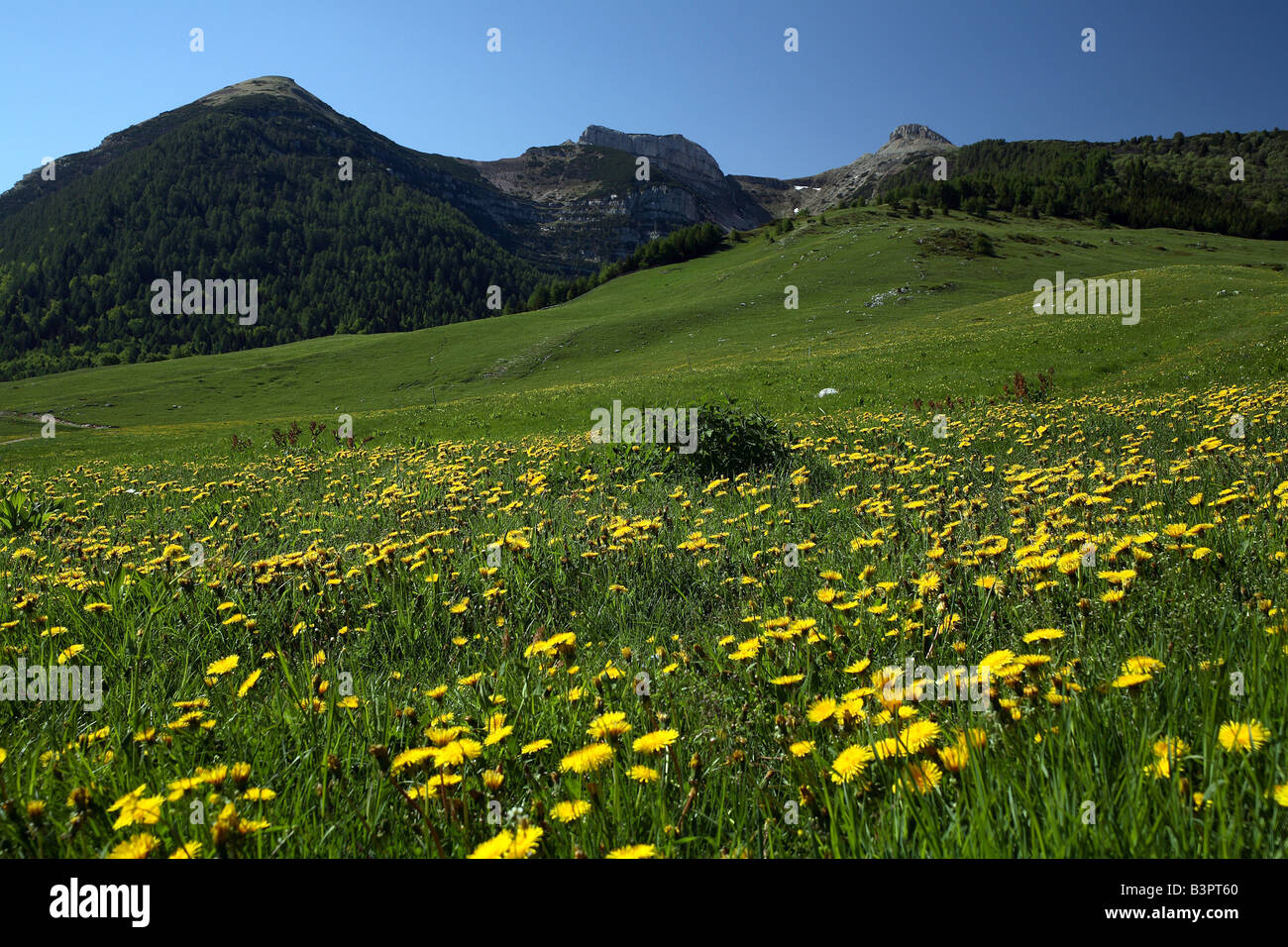 Landscape on Tre Cime del Bondone from Piana delle Viote, Monte Bondone ...