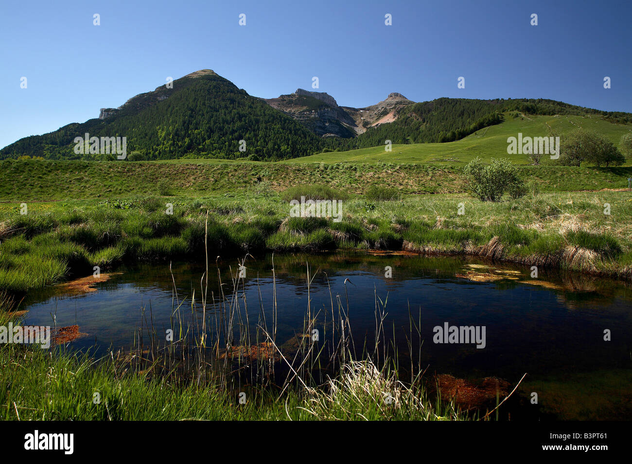 Landscape on Tre Cime del Bondone from Piana delle Viote, Monte Bondone ...